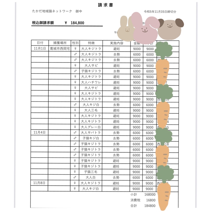 最終ご報告 古都奈良より「地域の猫と共生できる社会実現のためのTNR活動」（NPO法人 ねこの古都なら 2023/11/22 投稿） - クラウドファンディング READYFOR