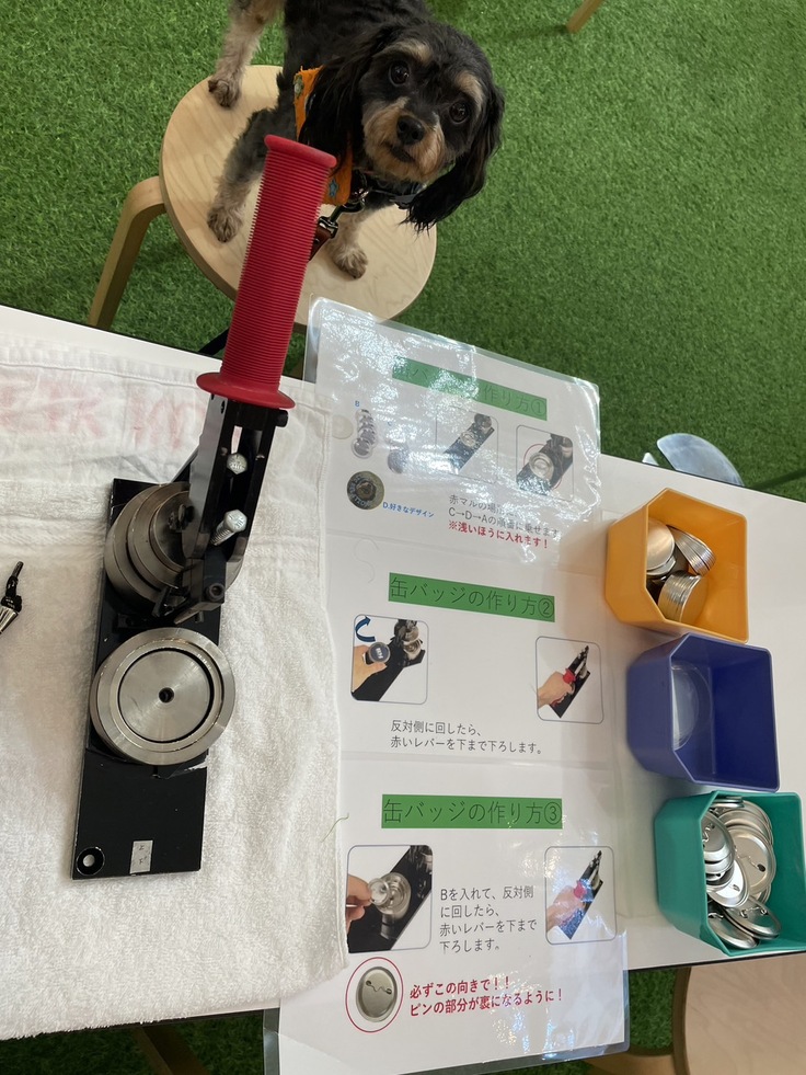 NPOフェスティバルに参加しました！！ 【犬とともに社会に貢献する】活動する犬たちのサポーター募集中！！（認定NPO法人日本レスキュー協会 2024/08/08 投稿） - 継続寄付 READYFOR